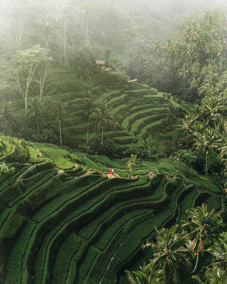 Ubud Adventure & Local Food: A Smart Travel Guide - Warung Pondok Madu